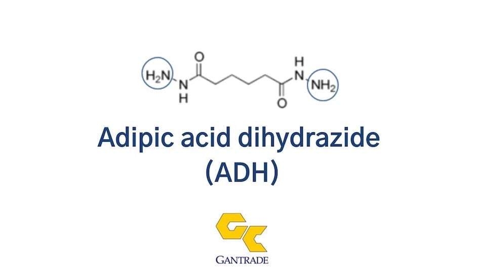 Adipic Acid Dihydrazide – A Unique Crosslinking Agent and Curative