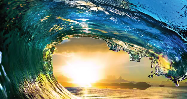 About the Gantrade Corporation