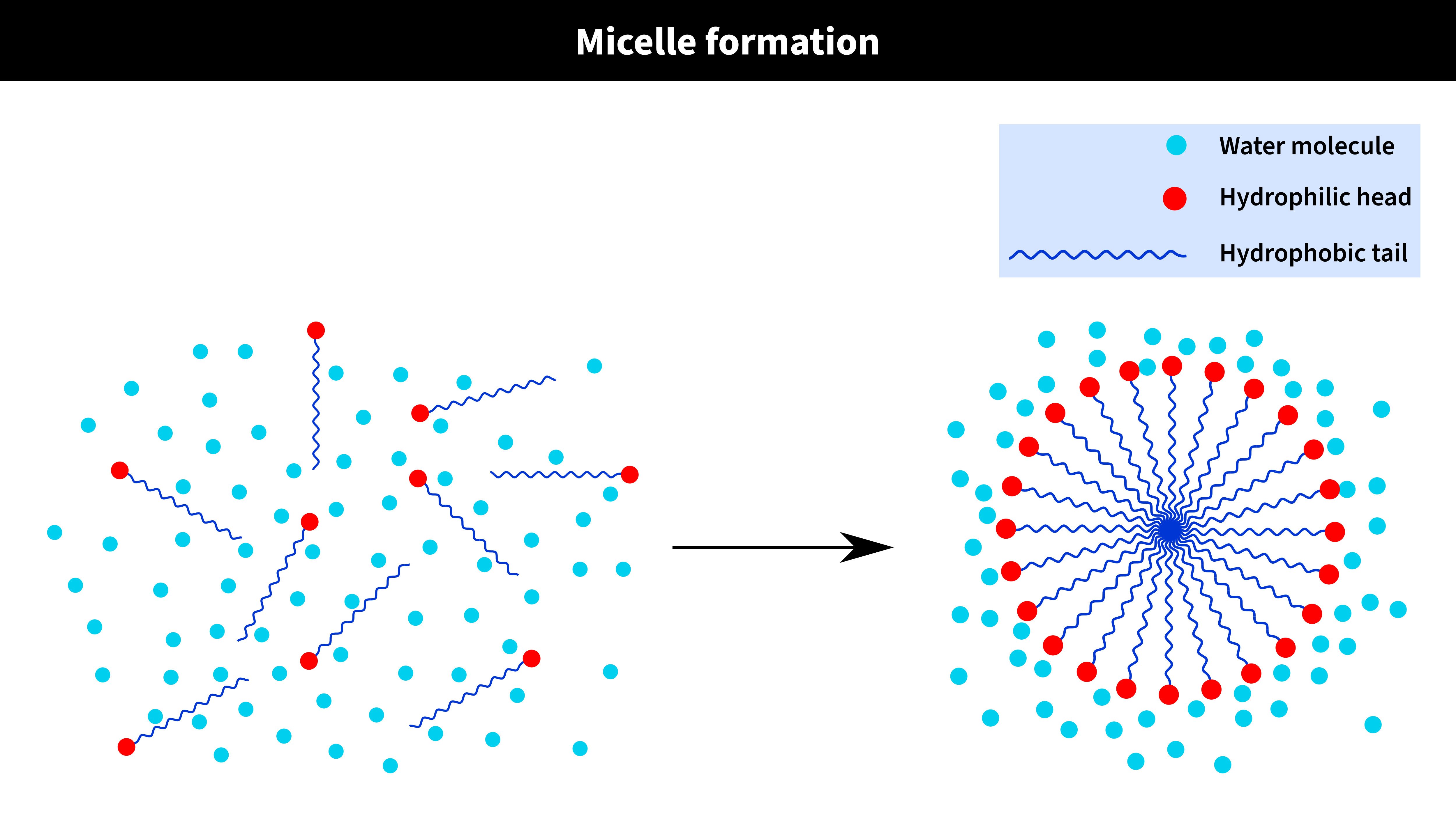 Surfactants for Emulsion Polymers