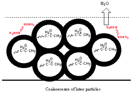 Diacetone Acrylamide (DAAM) and Adipic Acid Dihydrazide (ADH) Self ...