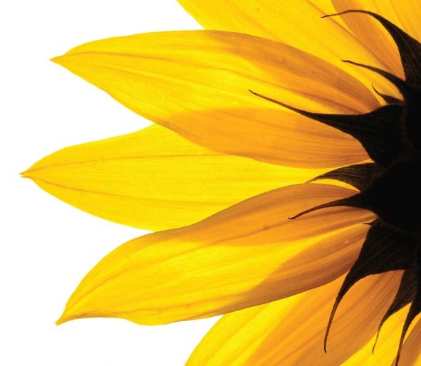 Worldwide marketer of petrochemical-based products | Gantrade